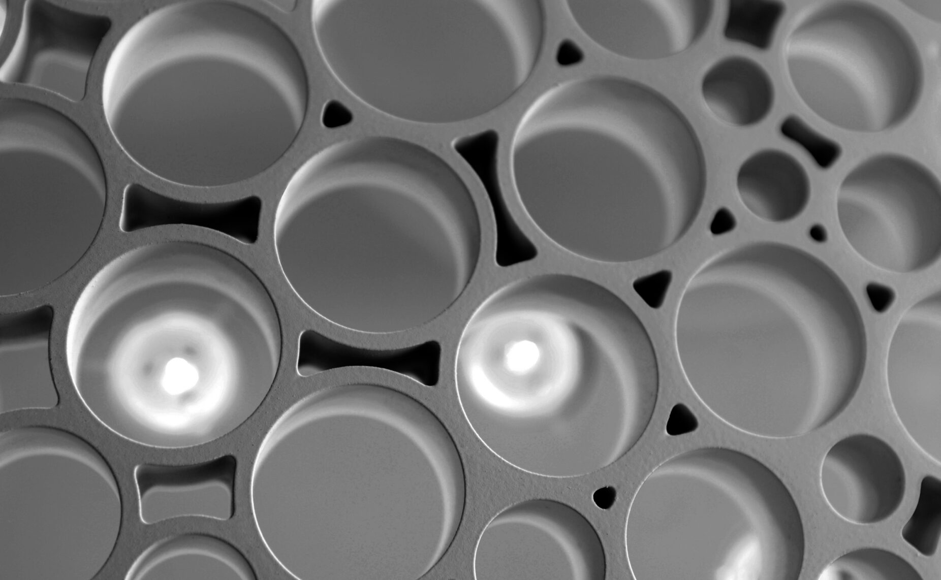 Lights - Neil Poulton